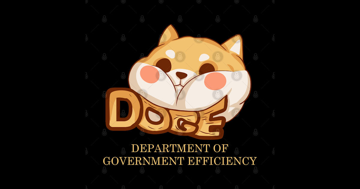Doge-department-of-government-efficiency - Department Of Government ...