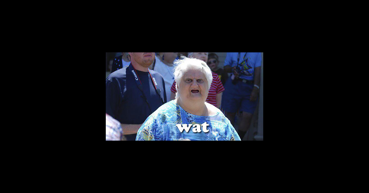 Wat Meme - Wat - Sticker | TeePublic