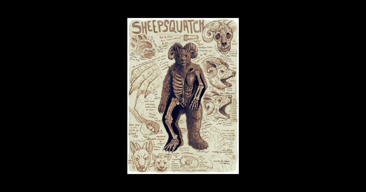 Sheepsquatch Study - Cryptid - Sticker | TeePublic