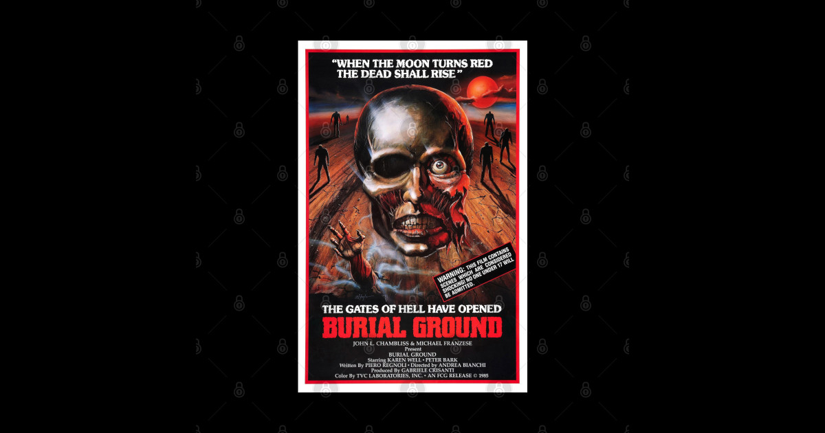 Burial Ground (AKA..Nights of Terror) VHS box art - Horror Vhs ...