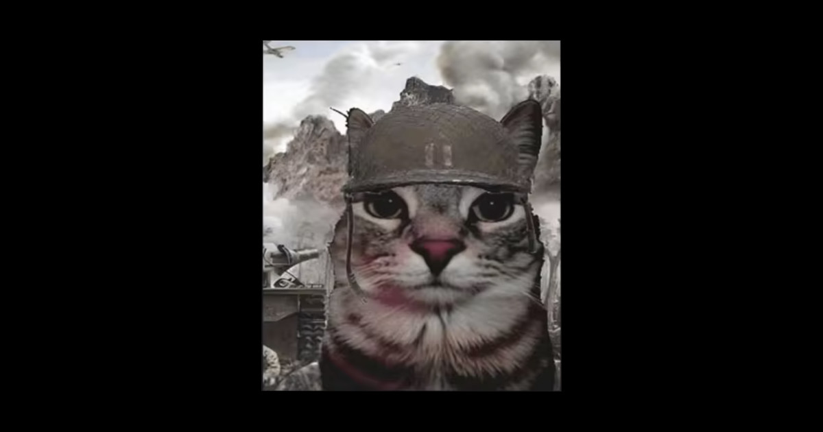 Thousand Yard Stare Cat - Thousand Yard Stare Cat - Sticker | TeePublic