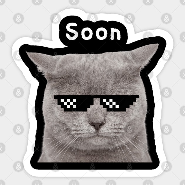 Soon – Creepy Cat Stare Meme Design - Cats - Sticker | TeePublic