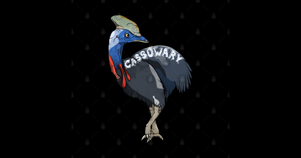 Cassowary Australian Bird - Cassowary - Sticker | TeePublic
