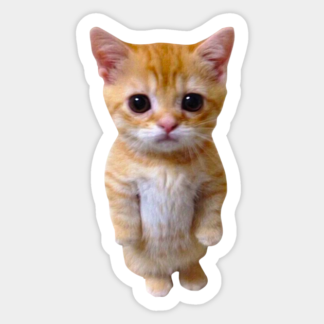 El Gato Munchkin Kitty - Gato - Sticker | TeePublic