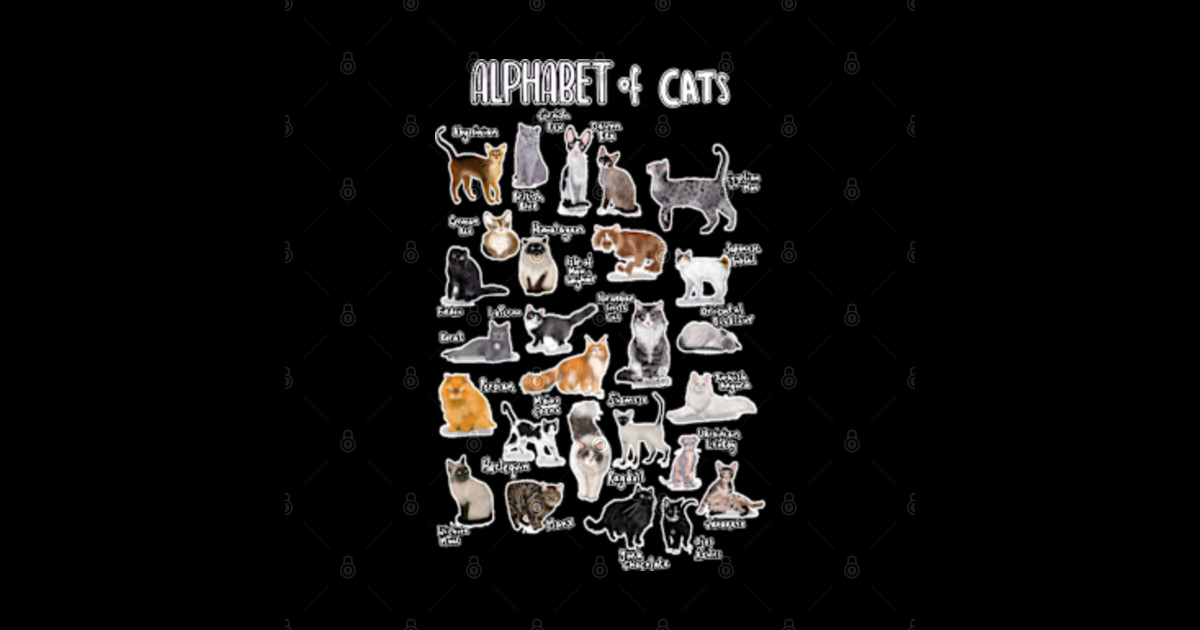 Types of cats alphabet a-z abc cat identification cat lover - My Cat ...