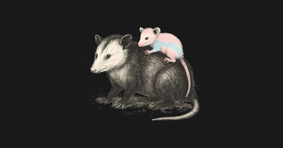 Transgender LGBTQ Pride Month Cute Opossum Trans Mom & Baby ...