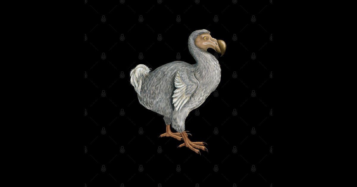 Forget Cloning Dinosaurs, Bring Back The Dodo - Dodo - Sticker | TeePublic