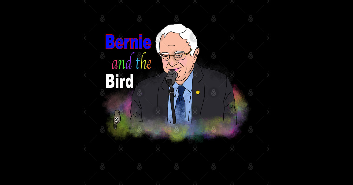 Bernie and the Bird - Bernie - Pillow | TeePublic