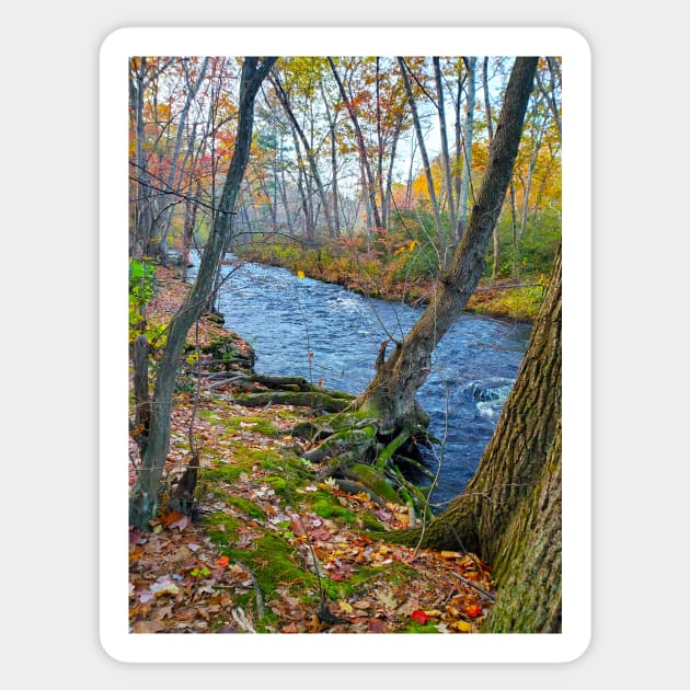 Magical River - Nature - Sticker | TeePublic