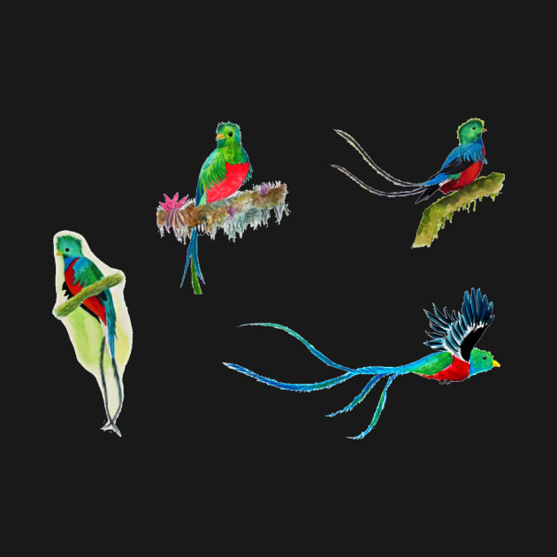 Quetzal Collection! Hand Painted Watercolor Quetzals - Annelise - T ...