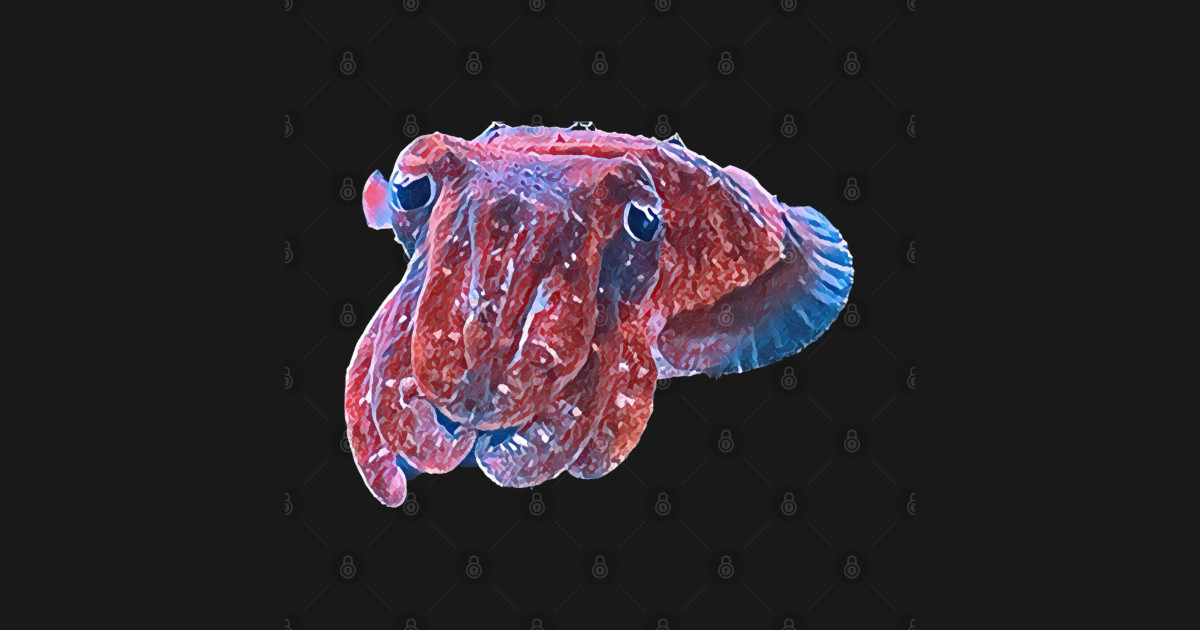 Darling Dwarf Cuttlefish - Cuttlefish - T-Shirt | TeePublic