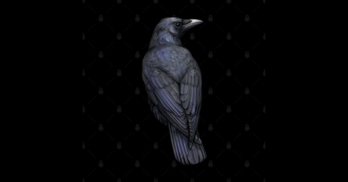 Carrion Crow - Crow - Sticker | TeePublic