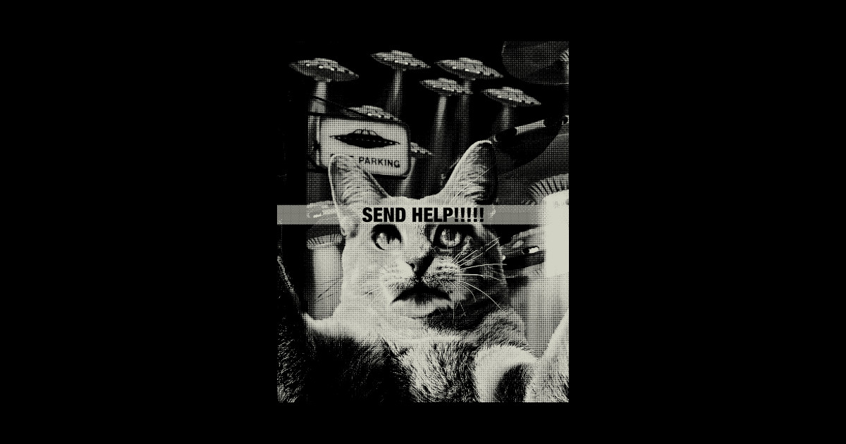 Send Help! - Cat - Sticker | TeePublic