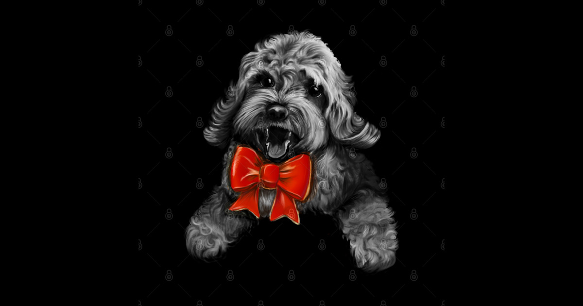 Cute Cavapoo Cavoodle puppy dog with red bow - Monochrome cavalier king ...