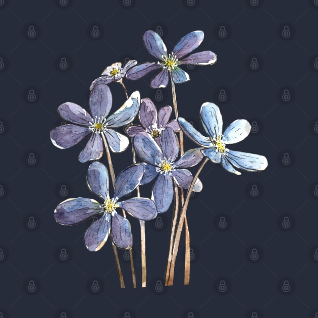 Hepatica Flowers Watercolor Painting - Hepatica Flowers Watercolor ...