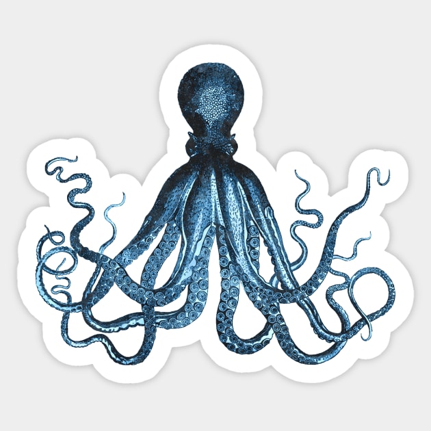 Octopus Illustration - Octopus - Sticker | TeePublic