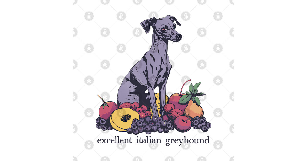 Excellent Italian Greyhound Fan Artwork - Shellac - T-Shirt | TeePublic