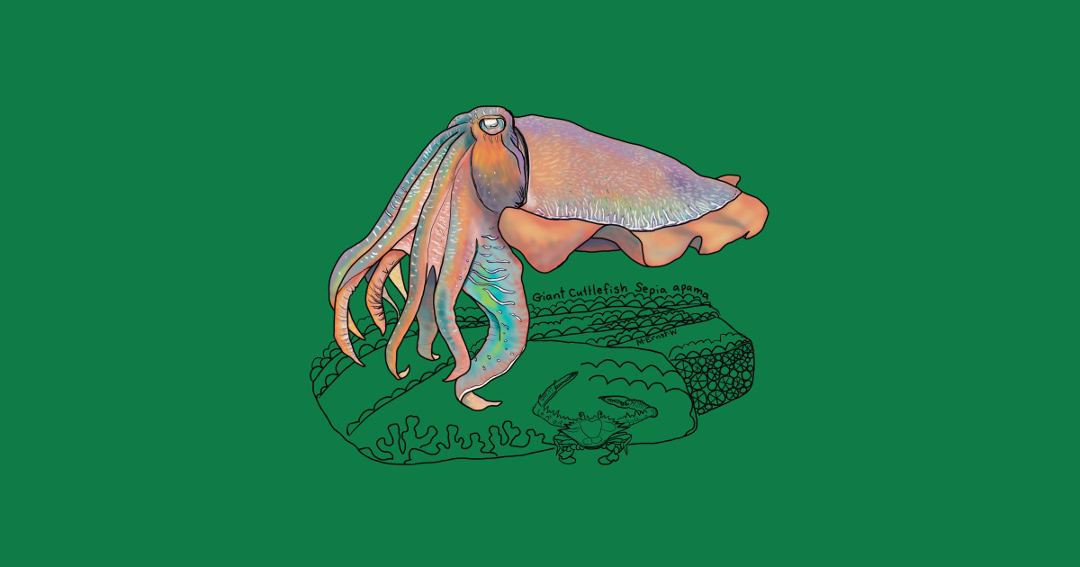 Giant Cuttlefish Doodle - Cuttlefish - T-Shirt | TeePublic