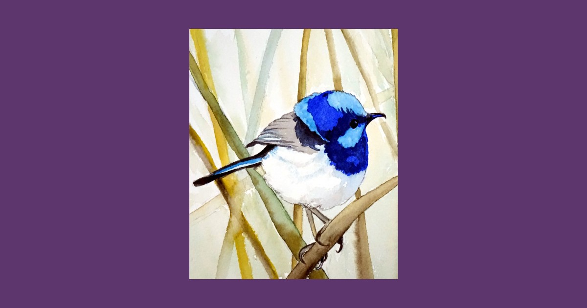 Blue Wren - Bird - T-Shirt | TeePublic