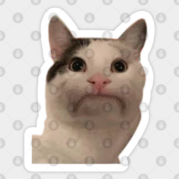 Beluga Cat - Beluga Cat Meme - Sticker | TeePublic