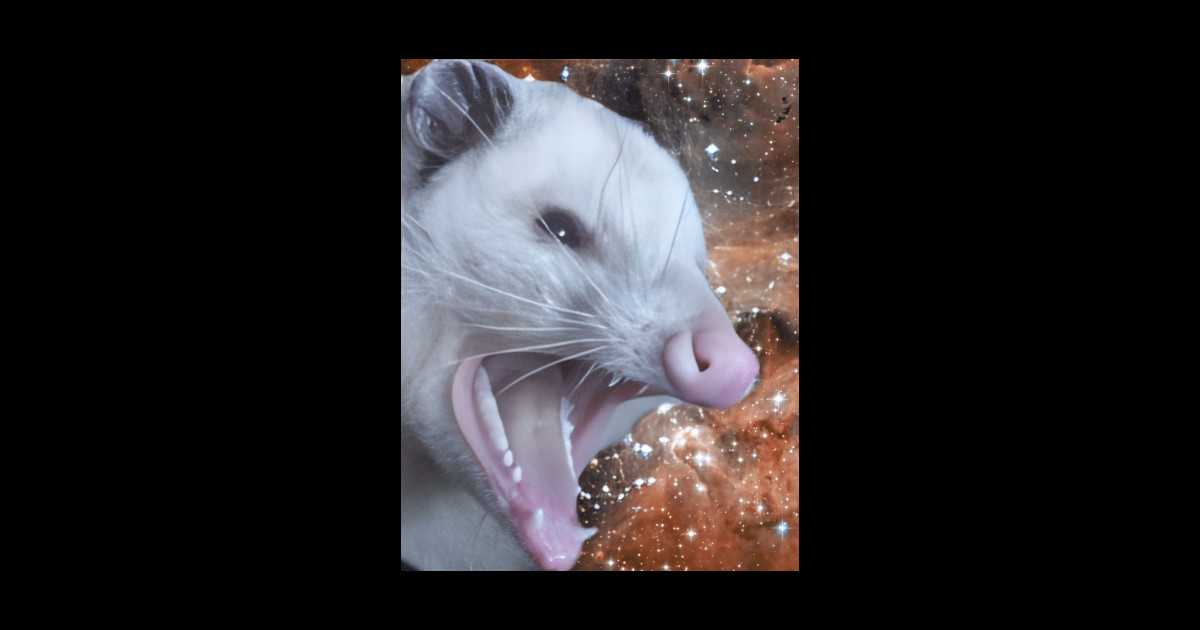 Angry possum - Awesome - Sticker | TeePublic