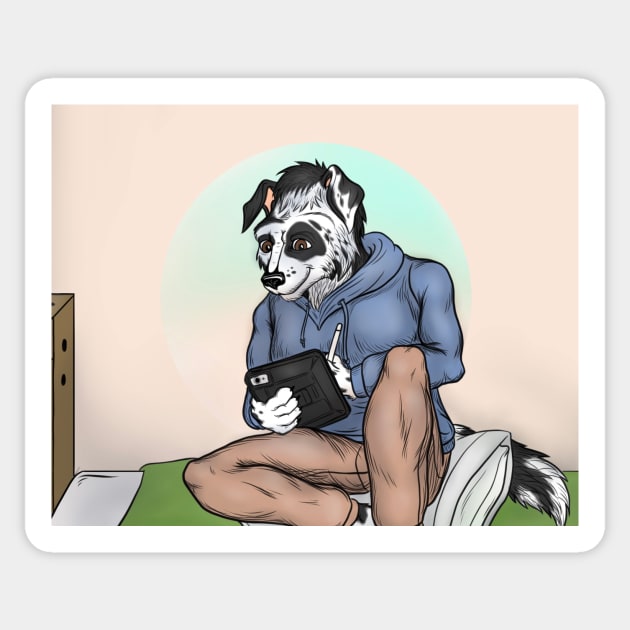 anthro border collie