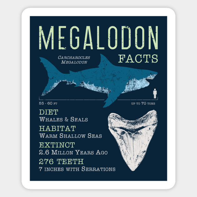 Megalodon Facts - Megalodon - Sticker | TeePublic