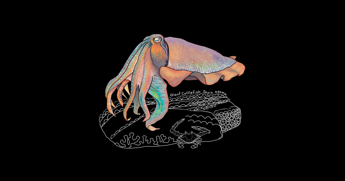 Cuttlefish Doodle-dark background - Cuttlefish - Sticker | TeePublic