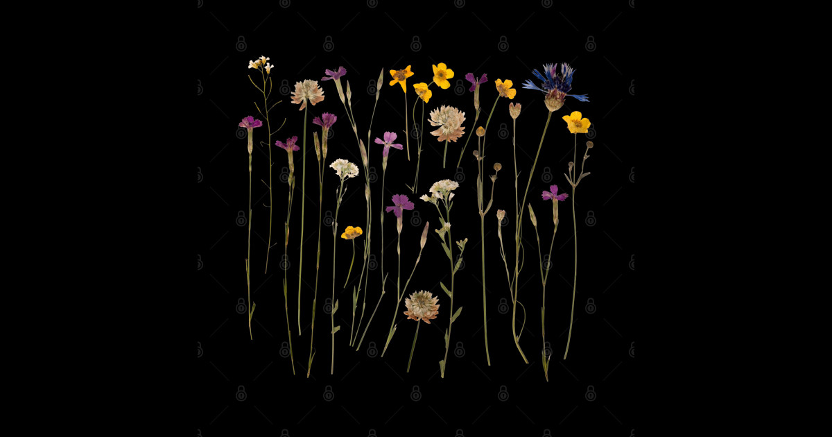 wildflowers - dried pressed vintage aesthetic - Wildflowers - Sticker ...