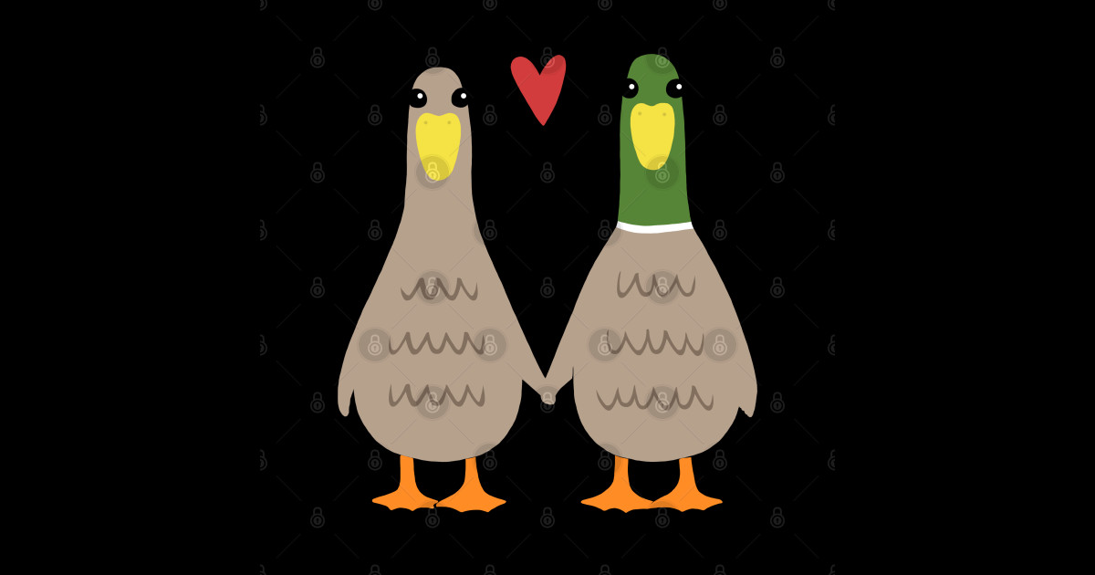 Love Ducks | Cute Ducks Couple Holding Hands with Valentine Heart ...