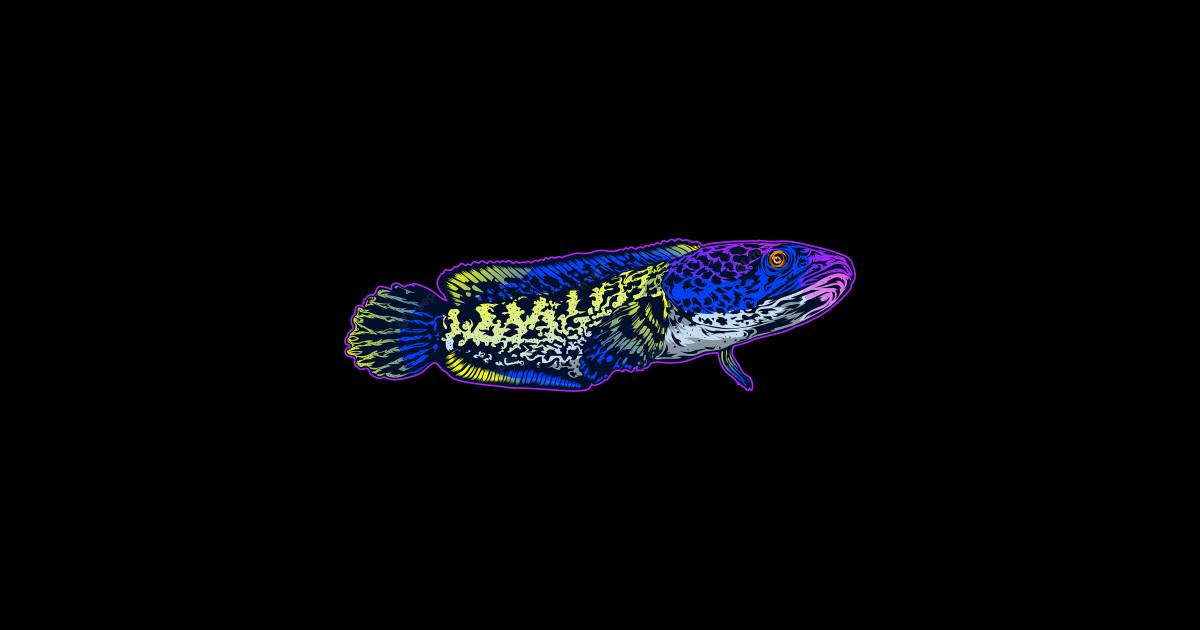 CHANNA FISH UNGU BIRU - Channa Fish - Sticker | TeePublic
