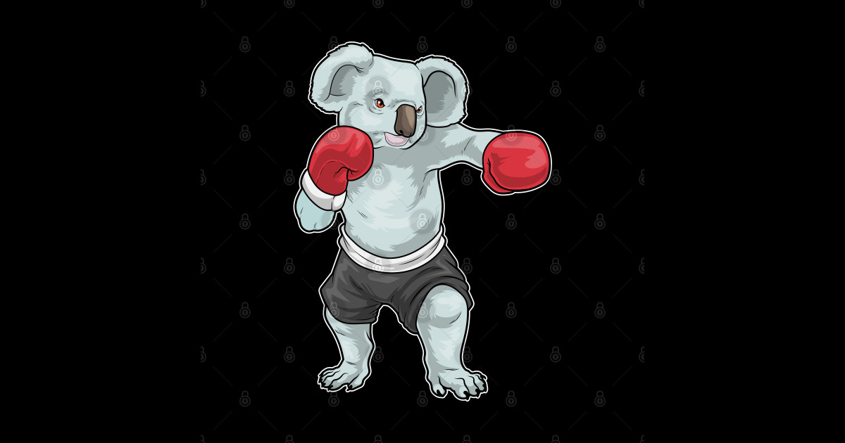 Koala Boxer Boxing gloves Boxing - Boxer - Sticker | TeePublic