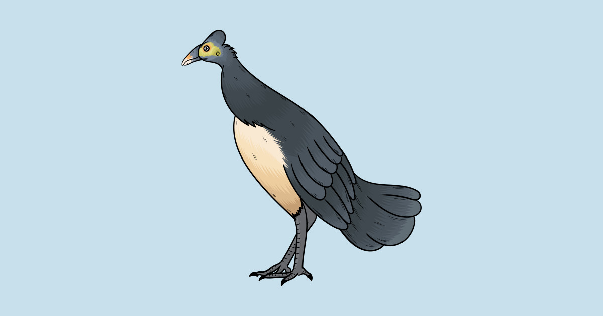 Maleo bird cartoon illustration - Maleo Bird Cartoon Illustration - T ...