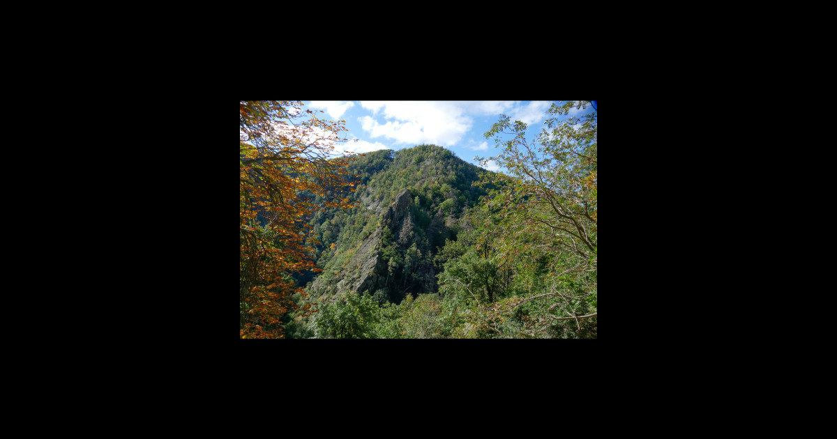 Bodetal, rock, cliff, cliff, Thale, Harz, Germany, autumn - Bodetal ...