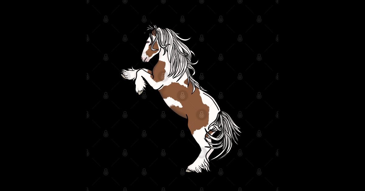 Bay Tobiano Rearing Gypsy Vanner - Gypsy Vanner - Posters and Art ...