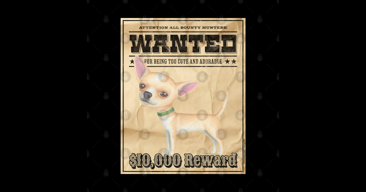 Cute Funny Chihuahua Dog Wanted Poster - Chihuahua Dog Lover - Sticker ...