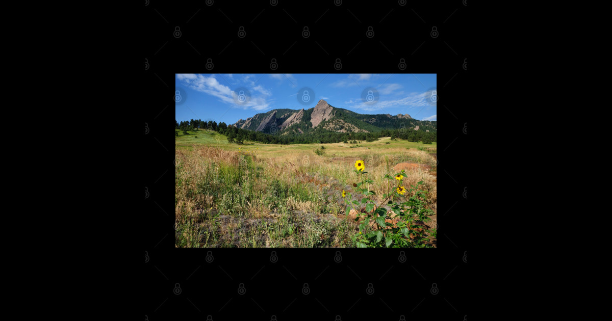 Boulder's Flatirons At Chautauqua Park - Sunflowers - Sticker | TeePublic