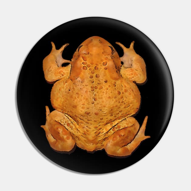 Anatomy of A Toad Black Outline Art - Herpetology Gift - Pin | TeePublic