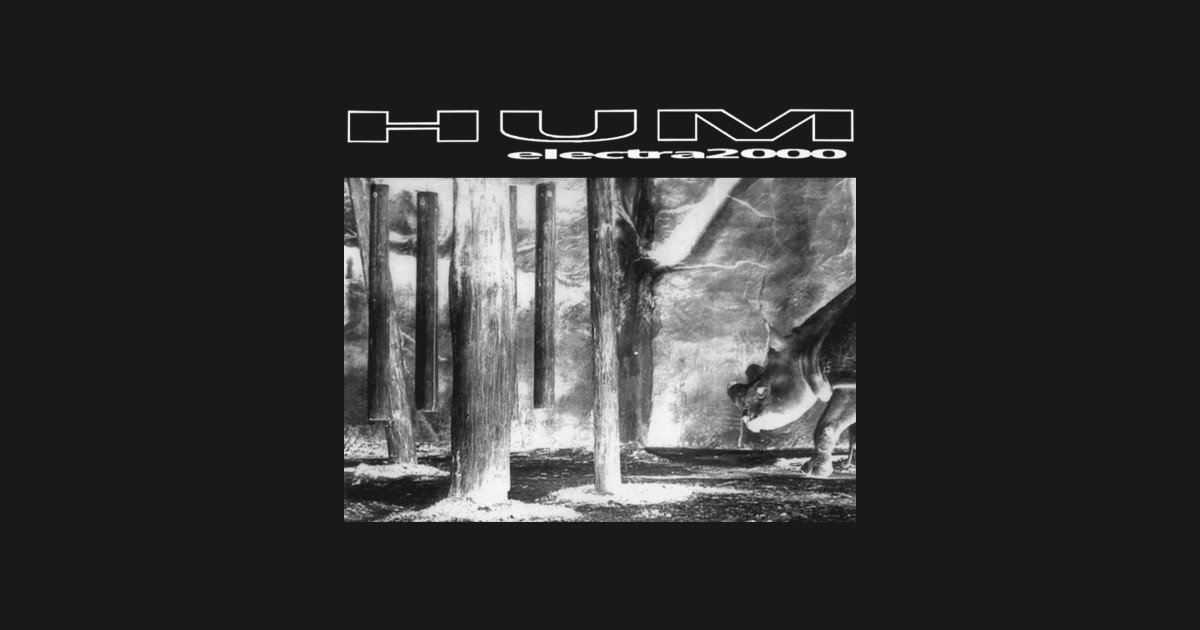 HUM BAND - Hum Band - T-Shirt | TeePublic