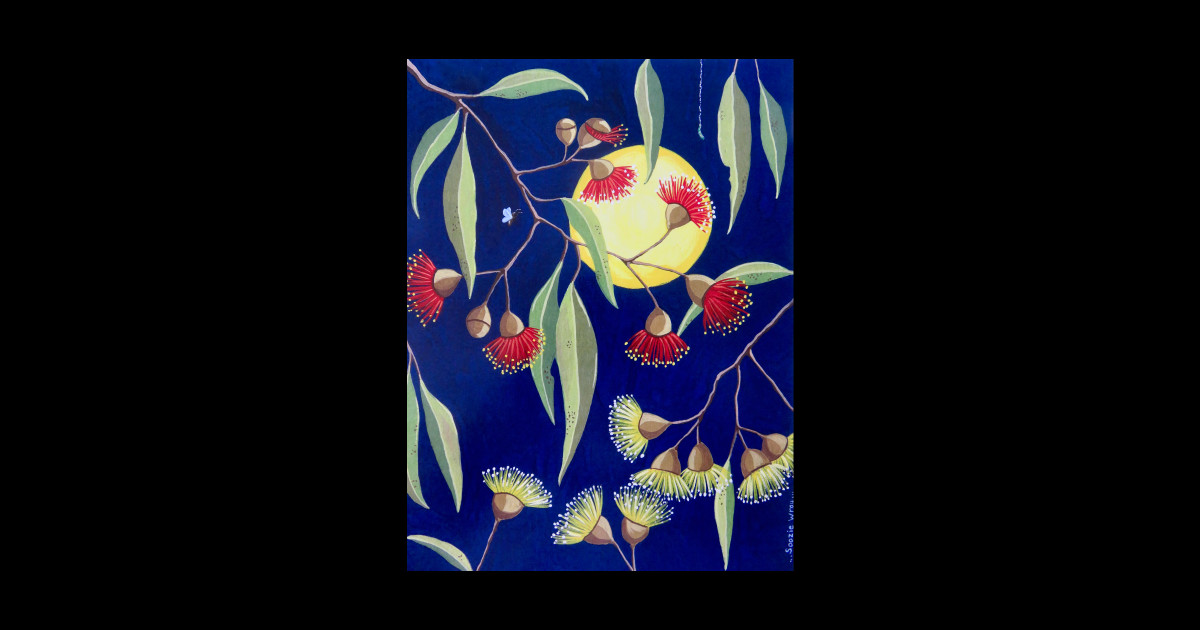 Australian Gum Blossoms in the Moonlight - Gum Blossoms - Sticker ...