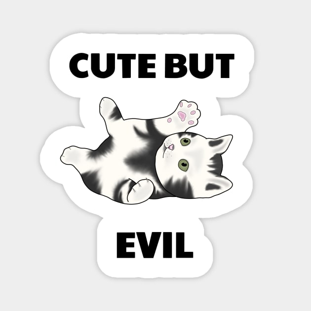 evil cute cat