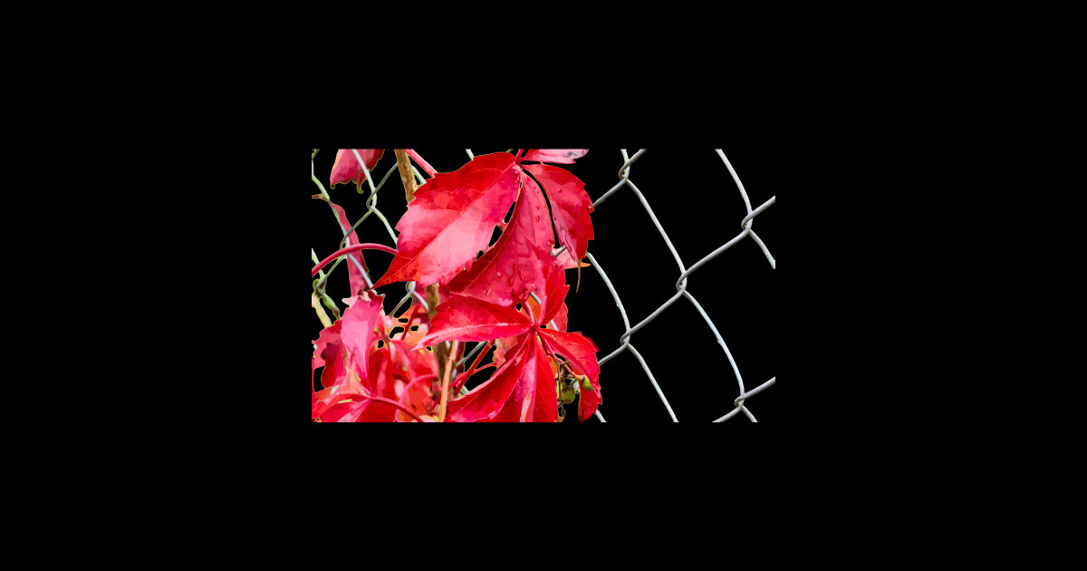 Red leaves on a metal grid - Red Leaves - Sticker | TeePublic