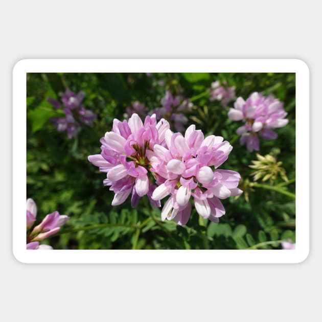Cluster of Pink Flowers - Flower - Sticker | TeePublic