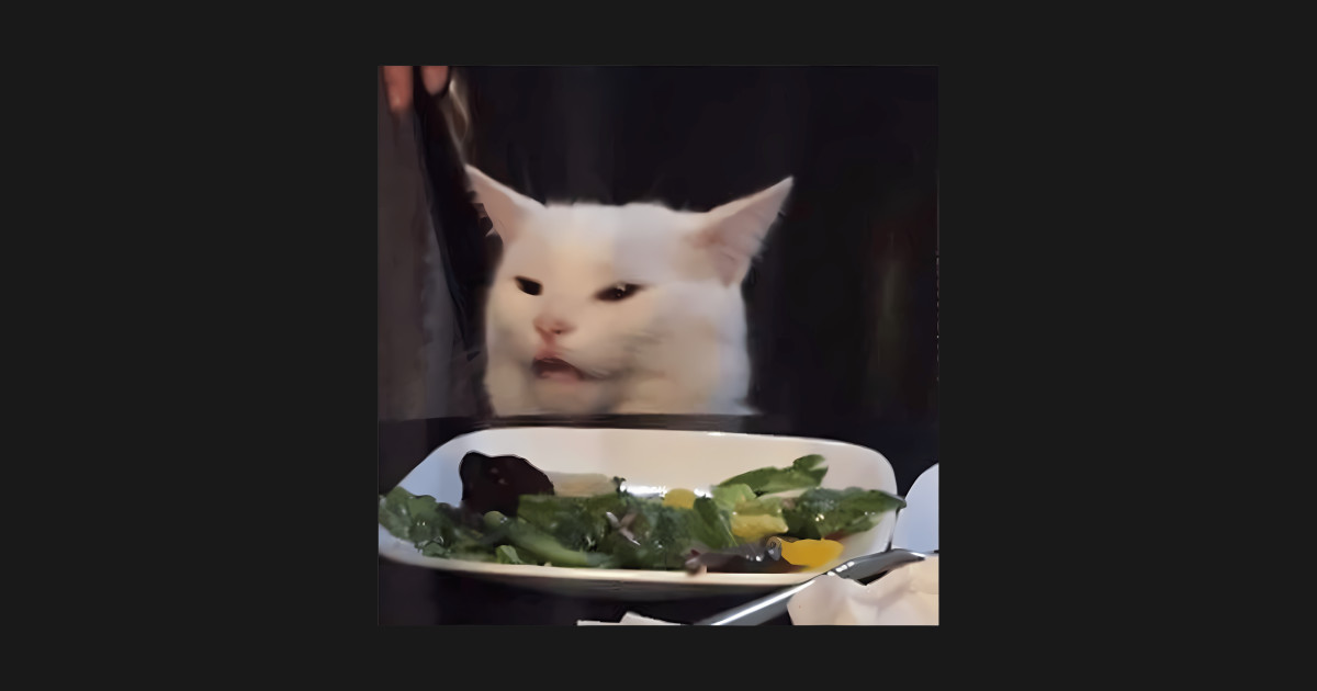 Dinner Table Cat Meme Funny Internet Yelling Confused Gift - Cat Meme ...