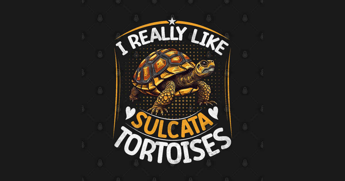 Turtle Pet Reptile Tortoise Species Really Like Sulcata Tortoises 7 ...