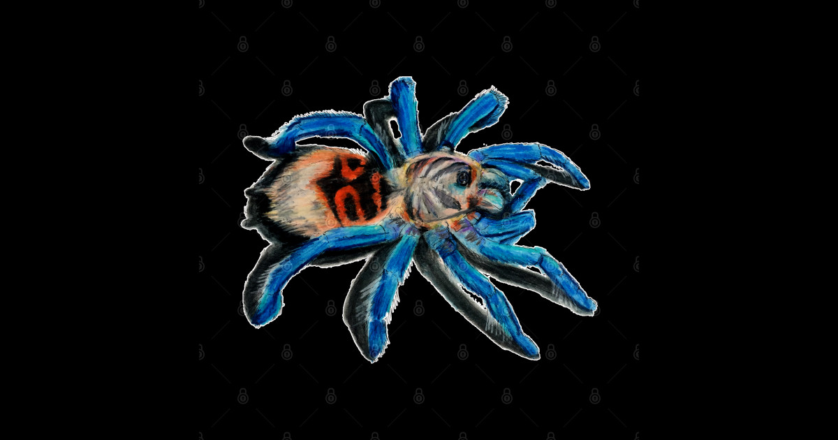 Green Bottle Blue Tarantula - Tarantula - Sticker | TeePublic