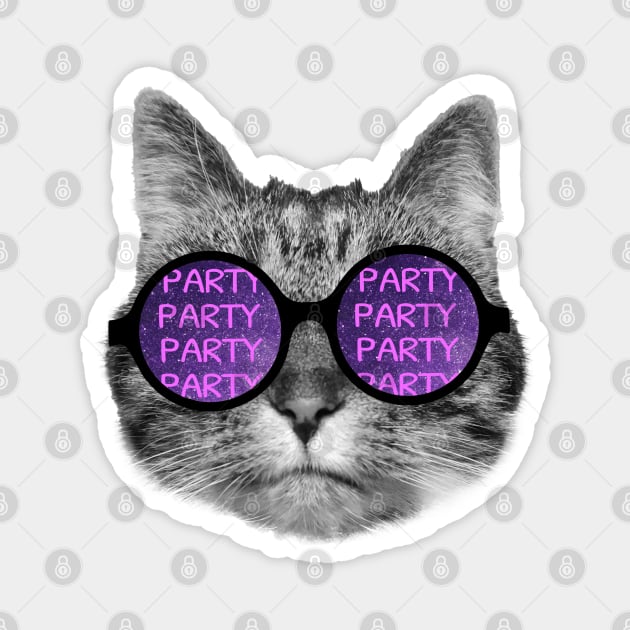 party cat gift