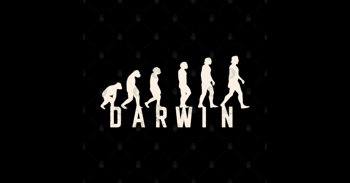 Darwin Evolution - Darwins Theory Of Evolution - Sticker | TeePublic
