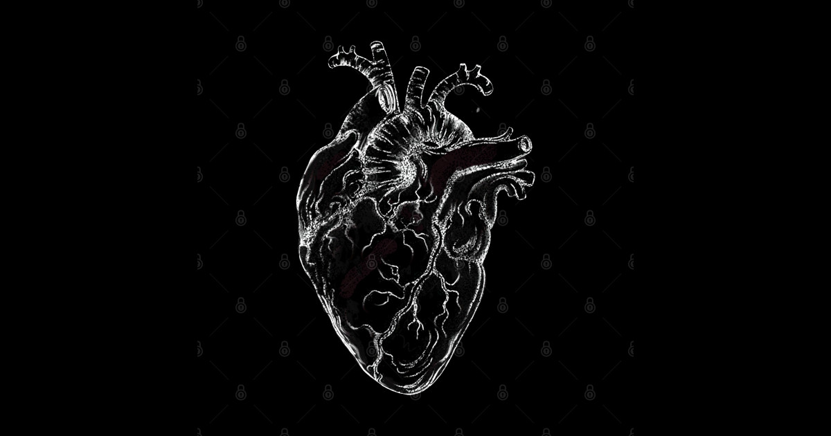 Heart Human Anatomy Black and white - Human Heart Human Anatomy ...