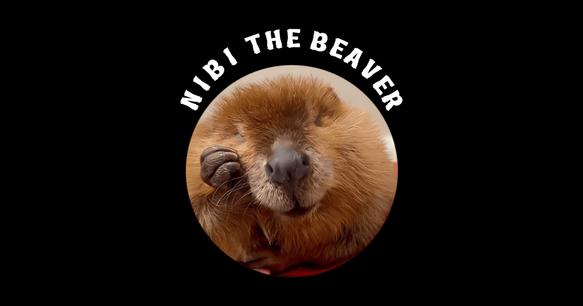 Nibi The Beaver The Diva Beaver - Diva Beaver - Sticker | TeePublic